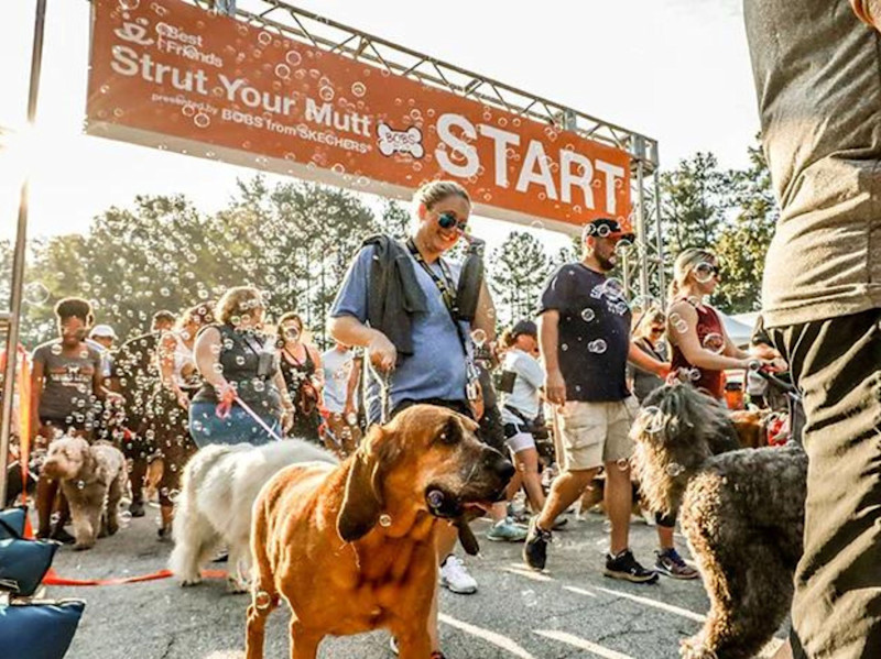 Take your pal to the Best Friends Animal Society's Strut Your Mutt ...