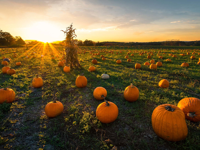 Need seasonal workers? Find them with KSL Jobs | KSL Jobs Resources