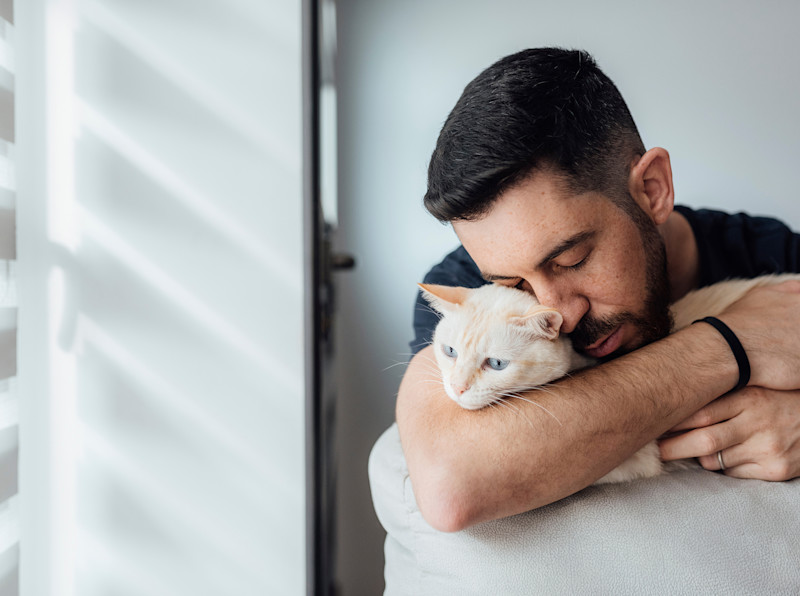 Supporting loved ones after the loss of a pet | KSL Classifieds Resources